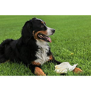 Top Dog Chews - Cow Ears Dog Treats, 6" - 7", 10 Pack, America's Made, All Natural, Rich in Protein and Flavor, Healthy & Delicious Treats for Dogs, Breeds