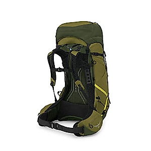 Osprey Atmos AG LT 50L Men's Backpacking Backpack, Scenic Valley/Green Peppercorn, L/XL