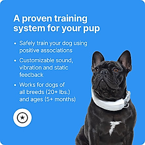 Halo Collar 3 - GPS Dog Fence - Multifunction Wireless Dog Fence & Training Collar with Real-Time Tracking & GPS - Waterproof, Instantly Create and Store Wireless Fences (Medium/Large, Ivory)