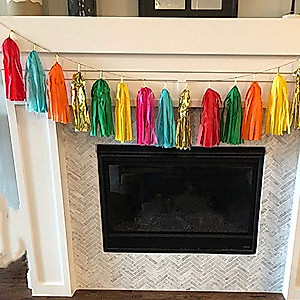 Autupy 35 PCS Taco Bout a Party Tassel Garland Tissue Paper Tassels Banner DIY Kit Baby Shower Party Taco Tuesday Fiesta Party Bachelorette Llama Party Decorations