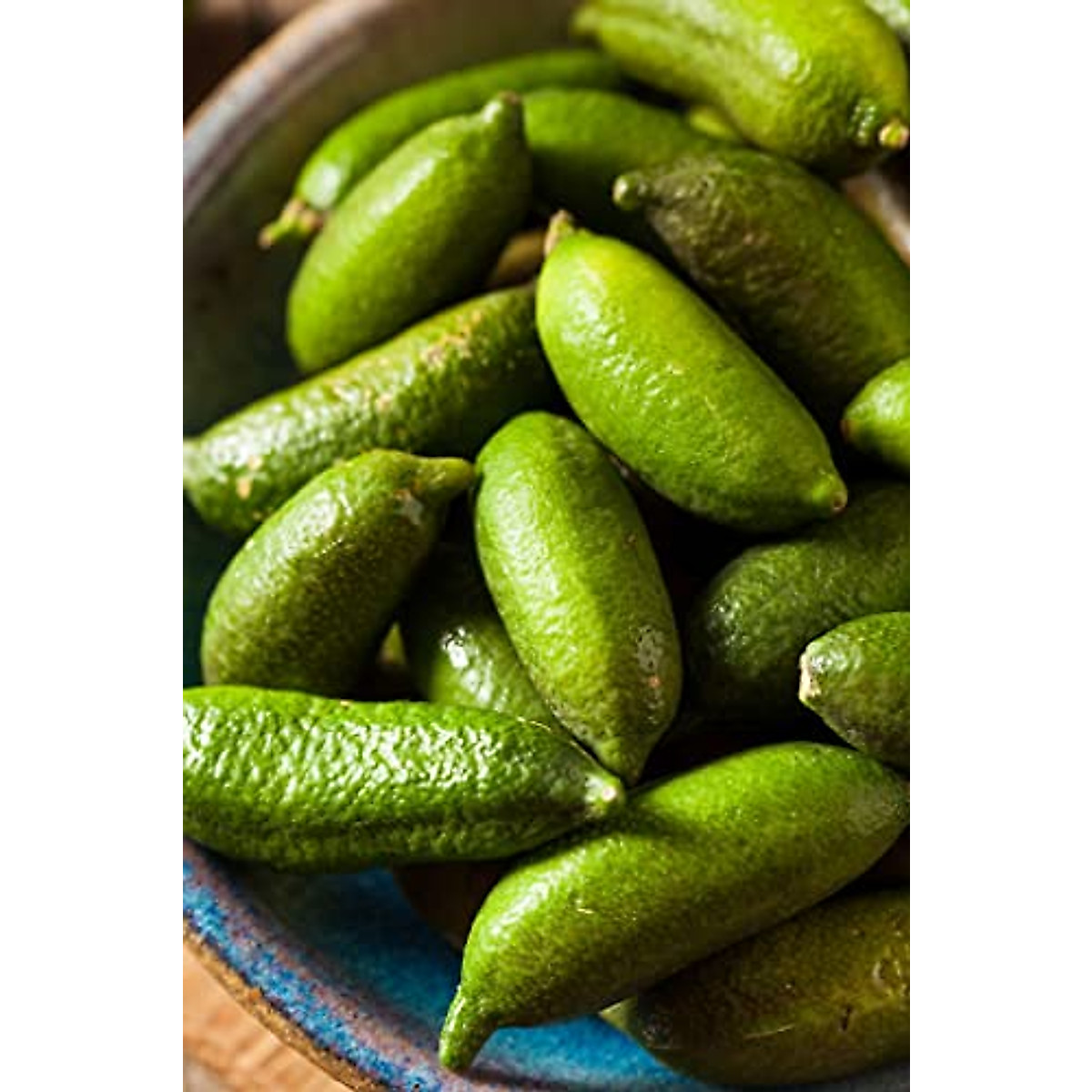 9 Finger Lime Seeds Can Grow in Pot Ornament Garden