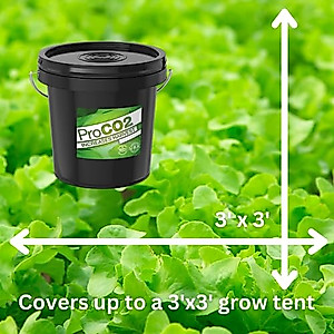 CO2 for Indoor Grow Tent - Ready to Use - Carbon Dioxide Boost for Indoor Grow Rooms - from Sprouting to Vegetative Growth Through Flowering - One XL Bucket Covers up to an 3'x3’ Tent