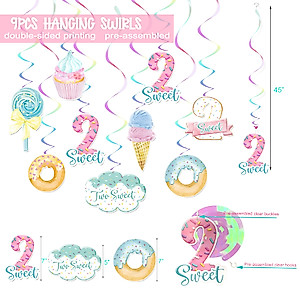 NALONER Two Sweet Birthday Party Decorations, Donut Decoration, Baby Second 2nd Decorations for Girl, Banner & Cake Topper, Balloons Garland
