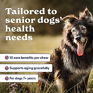 Origin Labs Senior Dog Multifunction Support Omega 3 Supplement, Gut Health Probiotics, Heart, Skin, Liver & Joint Health, Immune Support, Glucosamine Chondroitin, Beef Liver Flavor, 90 Soft Chews