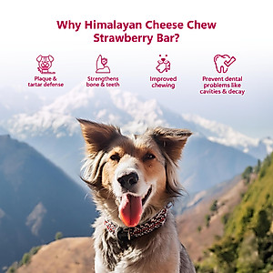 Himalayan Dog Chews Long Lasting - Strawberry Yak Cheese Dental Chews for Dogs | Promotes Healthy Teeth & Bones | Healthy Dog Treats for Large Dogs (14.81oz, Pack of 3) Pawfect