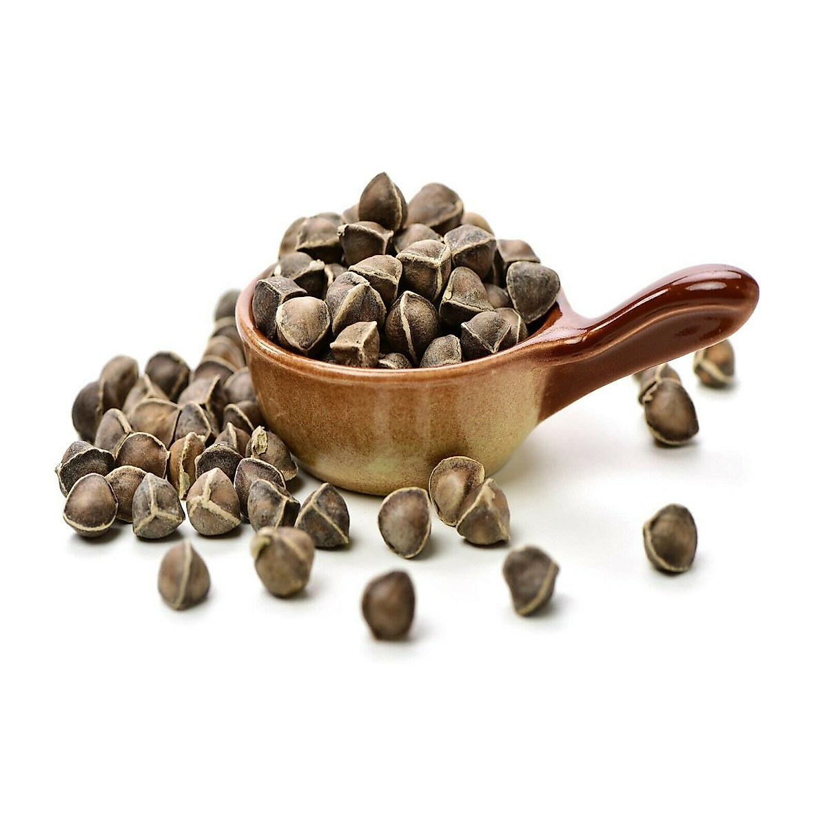 Moringa Seeds Wingless 1 lb. Wide Mouth JAR - PKM1 Variety - Edible Snacking - Planting - Moringa Oleifera - Malunggay - Semillas De Moringa - Drumstick Tree - Non-GMO - 1600 to 2000 Seeds