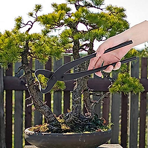 Pruning Shears, Ergonomic Hand Gardening Bonsai Tools Plant Tree Branch Cutter Pruning Scissors Bypass Trimming Shears 27cm