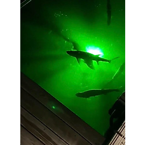 Saltwater Approved & Barnacle Burning Bulbs, Double Lamp Bright Green Underwater Fishing Light Kit, Dock & Fish Lights with 50' Cords (7,900 Lumens Each Bulb)