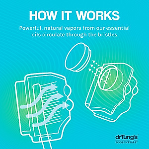 DrTung's Snap-On Toothbrush Protector, Releases Vapor from Essential Oils to Help Protect your toothbrush (2 Pack) (colors may vary)
