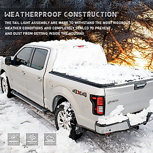 DRFG LED Tail Lights Compatible for F150 2015 2016 2017 2018 2019 2020 LED Tail Lamp for Ford Smoke lens Taillight Assembly Passenger and Driver Side