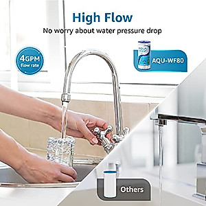 AQUACREST FXHSC Whole House Water Filter, Replacement for GE® FXHSC, GXWH40L, GXWH35F, American Plumber W50PEHD, W10-PR, Culligan® R50-BBSA, 5 Micron, 10" x 4.5", High Flow Sediment Filters, Pack of 2