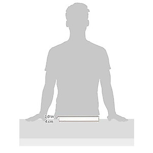 iDesign Plastic Refrigerator and Freezer Storage Organizer Tray with Handle for Kitchen, Pantry, Shelf, Counter, BPA-Free, 14.5" x 12" x 2", Clear