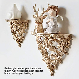 ZLXHDL Floating Shelves for Wall, European Hollow Style Wall Hanging Shelves, Resin Shelf Wall Decoration for Plants Goods Potted Plants Statues 1Pcs