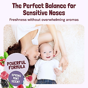 Sunny & Honey Carpet Miracle Powder - Dry Cleaner, Freshener & Deodorizer Powder for Kids & Pets (Wildberry Scent) - Carpet Cleaner & Upholstery Deodorizer