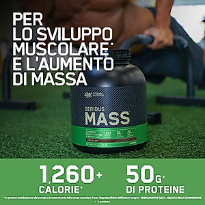 Optimum Nutrition Serious Mass Weight Gainer Protein Powder, Vitamin C, Zinc and Vitamin D for Immune Support, Vanilla, 6 Pound (Packaging May Vary)