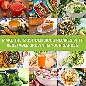 10 Assorted Vegetable Seeds - 100% Non GMO Variety Pack - 840+ Heirloom Garden Seeds for Planting Vegetables - Cucumber, Carrot, Tomatoes, Broccoli, Cabbage, Radish Seeds and More