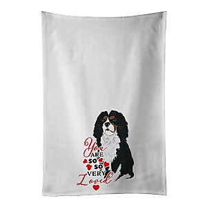 Caroline's Treasures WDK3948WTKT Cavalier King Charles Spaniel Tricolor #1 so Loved White Kitchen Towel Set of 2 Dish Towels Decorative Bathroom Hand Towel for Hand, Face, Hair, Yoga, Tea, Dishcloth,