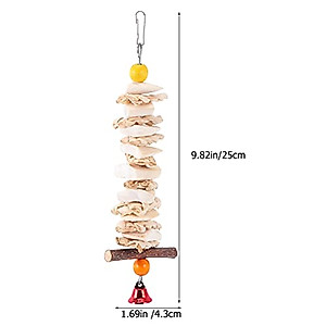 LUOZZY Parrot Cage Chewing Toy Bird Bite Toy Hanging Parrot Toy for Small Birds, 25CM