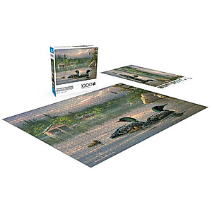 Buffalo Games - Hautman Brothers - Passing Storm Loons - 1000 Piece Jigsaw Puzzle for Adults Challenging Puzzle Perfect for Game Nights - 1000 Piece Finished Size is 26.75 x 19.75, Large