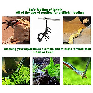 2-Pack 15 inch Heavy Duty Stainless Steel Long Tweezers, Curved and Straight Design with Anti-slip Grasp Tips Large Tongs for Reptiles Feeding, Aquascape Maintenance