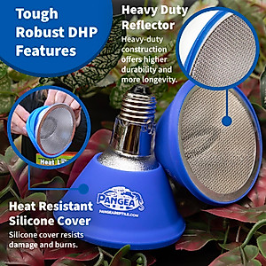 Pangea Deep Heat Projector 2-Pack for Reptiles with Carbon Fiber Filament, Deep Warming Infrared A and B Bulb for Basking Reptiles, Designed for Ceramic Sockets (100 Watt)