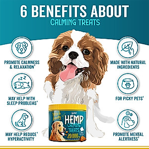 Dog Calming Treats - Calming Chews for Dogs with Beef Flavour - Helps with Dog Anxiety, Separation, Barking, Stress Relief, Thunderstorms - Calming Ingredients for Behavior Support (Beef - 180 Chews)
