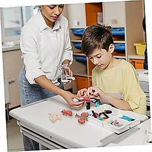 2 Sets Human Visceral Model Human Teaching Aid Human Torso Body Model Human Internal Organs Model Human Body Model Torso and Skeleton Models Anatomy Mannequin PVC Child Major Suite