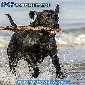 Rivulet Wireless Dog Fence System Electric Dog Fence Training Collar w/Remote 2-in-1, Dog Containment Fence Wireless, Adjustable Vibration & Shock, Rechargeable Pet Fence for Small Medium Large Dogs