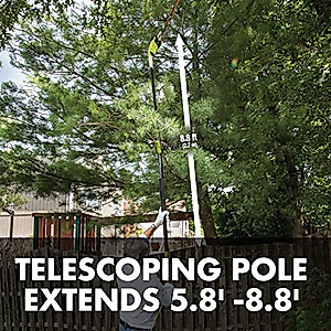 Sun Joe SWJ803E 10 inch 8.0 Amp Electric Multi-Angle Pole Chain Saw, Green