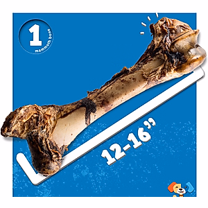Jack&Pup Mammoth Large Dog Bone | 16" Marrow Dog Bones for Aggressive Chewers | Single Ingredient Long Lasting Chew Bones (1 Pack)