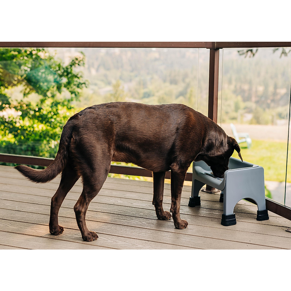 Fluff Through Elevated Dog Bowl for Large Dogs Food – Dog Feeding Station with Vet Approved & Non-Toxic Silicone Bowl Insert - Raised Dog Bowl for Large Dogs for Healthy Posture & Digestion (Gray)