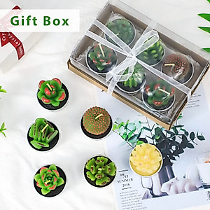 SCENTORINI Tealight Candles, 12 Pack Cactus Candles, Cute Tealight Candles for Christmas Decorations, Mini Delicate Candles, Unscented Candles Gift for Birthday Party Wedding Home Decor