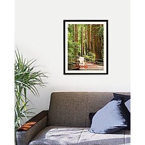 - Muir Woods National Monument Poster Print - WPA Wall Art - Travel Poster Home Décor - Housewarming Gift - 11 x 14 Unframed Art Print
