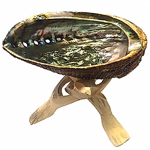 Abalone Shell or Crystal Ball Stand Tripod 6" by New Age Imports, Inc.