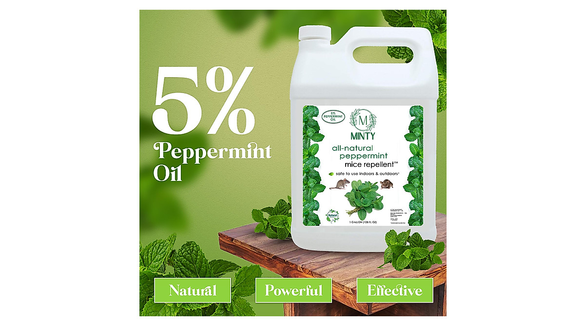 Minty Mice Repellent - Natural Peppermint Oil Spray