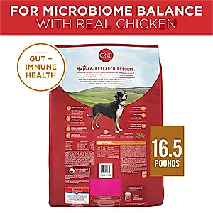 Purina ONE Chicken and Rice Formula Dry Dog Food - 16.5 lb. Bag