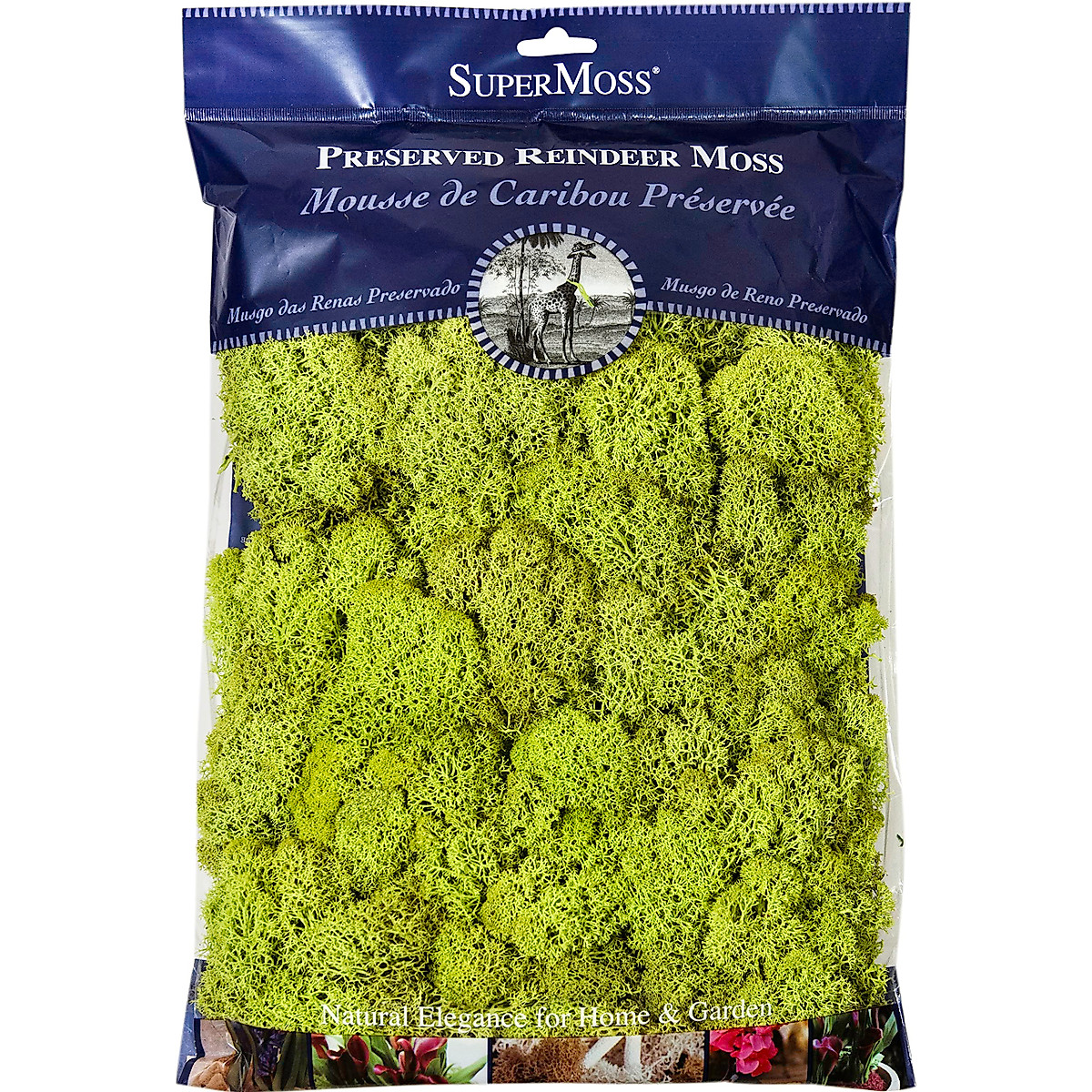 Super Moss 21669 Reindeer Moss Preserved, Chartreuse, 8oz (200 cubic inch)