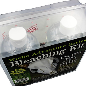 Wiebe Skull Bleaching Kit