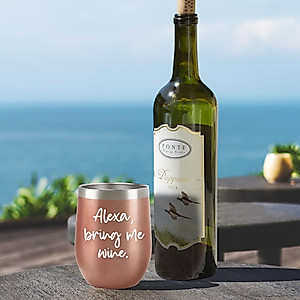 Chris's Stuff 12 oz Wine Tumbler - Iced Coffee Mug with Splash-Proof Lid Stainless Steel Double Wall Vacuum Insulated with Inner Layer Copper Keep Drinks Cold/Hot - Quote: Alexa Bring me Wine (Pink)