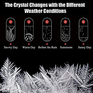 TITA-DONG Innovative Angel Storm Decor, Weather Forecast Glass Bottle Weather Decorative Bottle, Water Droplets Windstorm Glass for Home Office Decoration Valentine's Day Gift(Purple)