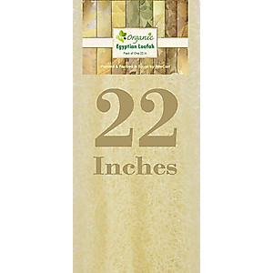 NileCart Egyptian Loofah Sponges Natural Exfoliating Body Wash Gourd, Loofah Bath Sponges for Skincare, Exfoliating Back Scrubber (One Whole Loofah 22")