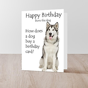CafePress Funny Husky Birthday Greeting Cards Folded Greeting Card Matte