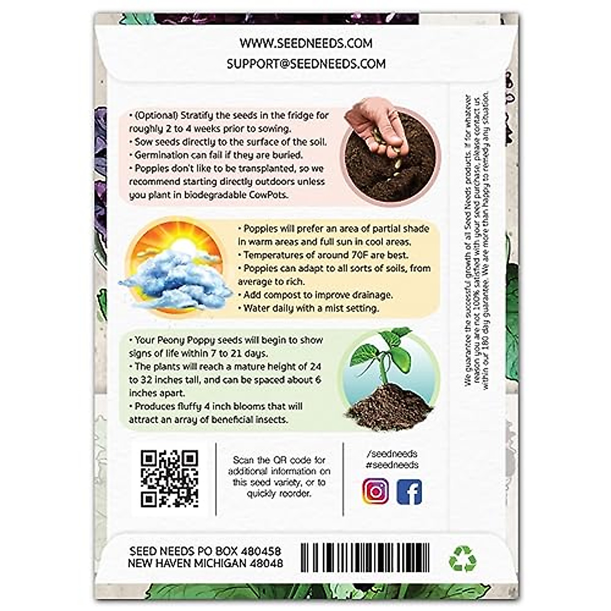 Seed Needs, Black Peony Poppy Seeds - 500 Heirloom Seeds for Planting Papaver paeoniflorum - Beautiful Dark Burgundy Flowers (1 Pack)