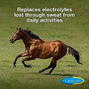 Farnam Apple Elite Horse Electrolyte Powder, Replaces minerals lost in sweat during exercise, extreme weather & stressful conditions, 5 lb., 40 day supply