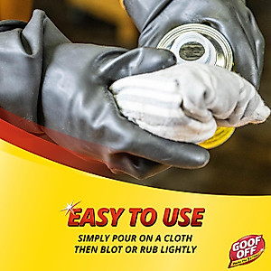 Goof Off FG653 Professional Strength Remover, Pourable 16-Ounce,Liquid