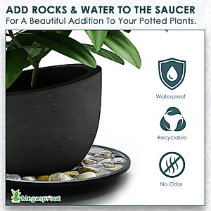 MegaSprout 6 Plant Saucer Trays 9 Inch | Sturdy Plastic Plant Trays for Pots & Planters | Protect & Enhance Surfaces with Black Round Flower Pot Saucers | Large Plant Saucers for Indoors