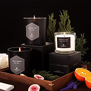 subrtex Citrus & Wood Scented Candles for Women, 12.3oz Large Jar Single Wick Candle, 70 Hours of Burn Time, Highly Scented Aromatherapy Candle Valentine's Day Gift for Bathing Massage