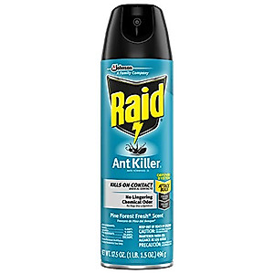 Raid Ant Killer Spray Pine Forest, 17.5 OZ (Pack - 1)