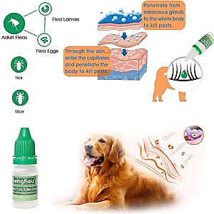 Safe and Effective: Dog Flea and Tick Prevention Repellent, Plus Spot-On with Plant Formula, for Small-Medium Dogs 4-44 lbs, (8.5 Month Supply)