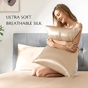 THXSILK Mulberry Silk Pillowcase, Champagne, Queen, 19 Momme, with Hidden Zipper, 20"